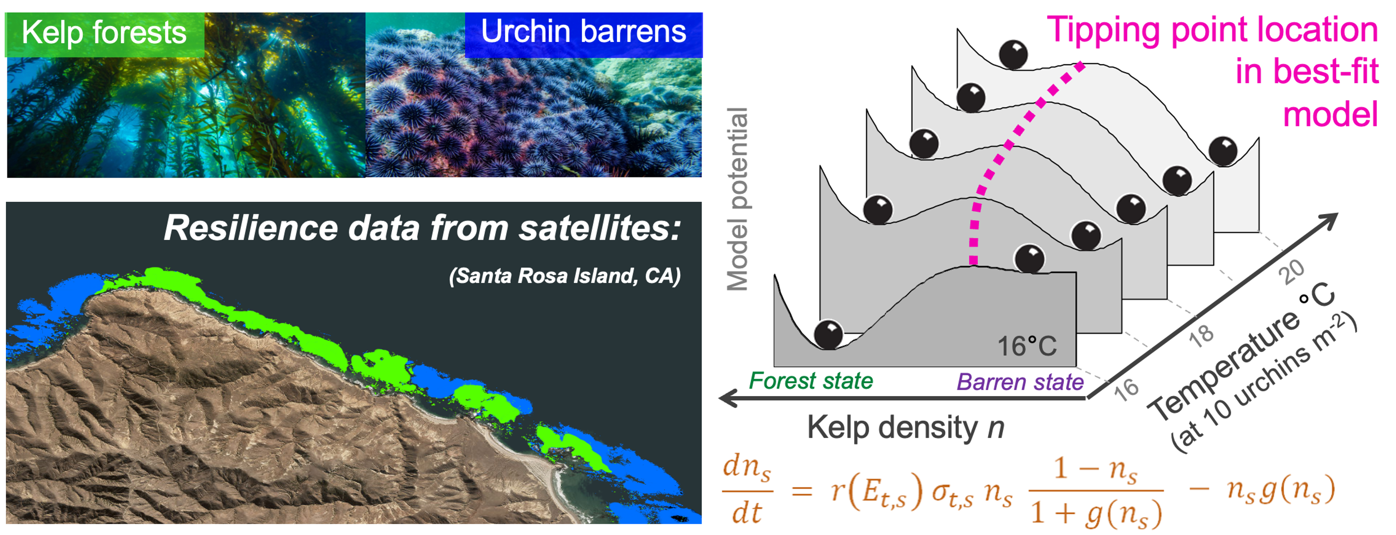 Ecosystem Resilience - Quantitative Resilience Lab